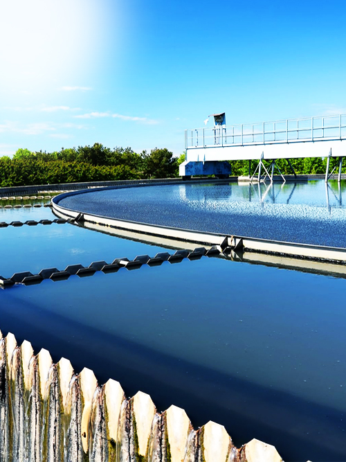 MASUCA - Productos Químicos.